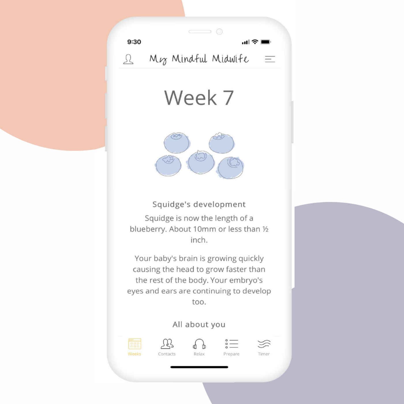 Mindful Birth App | The Mindful Birth Group