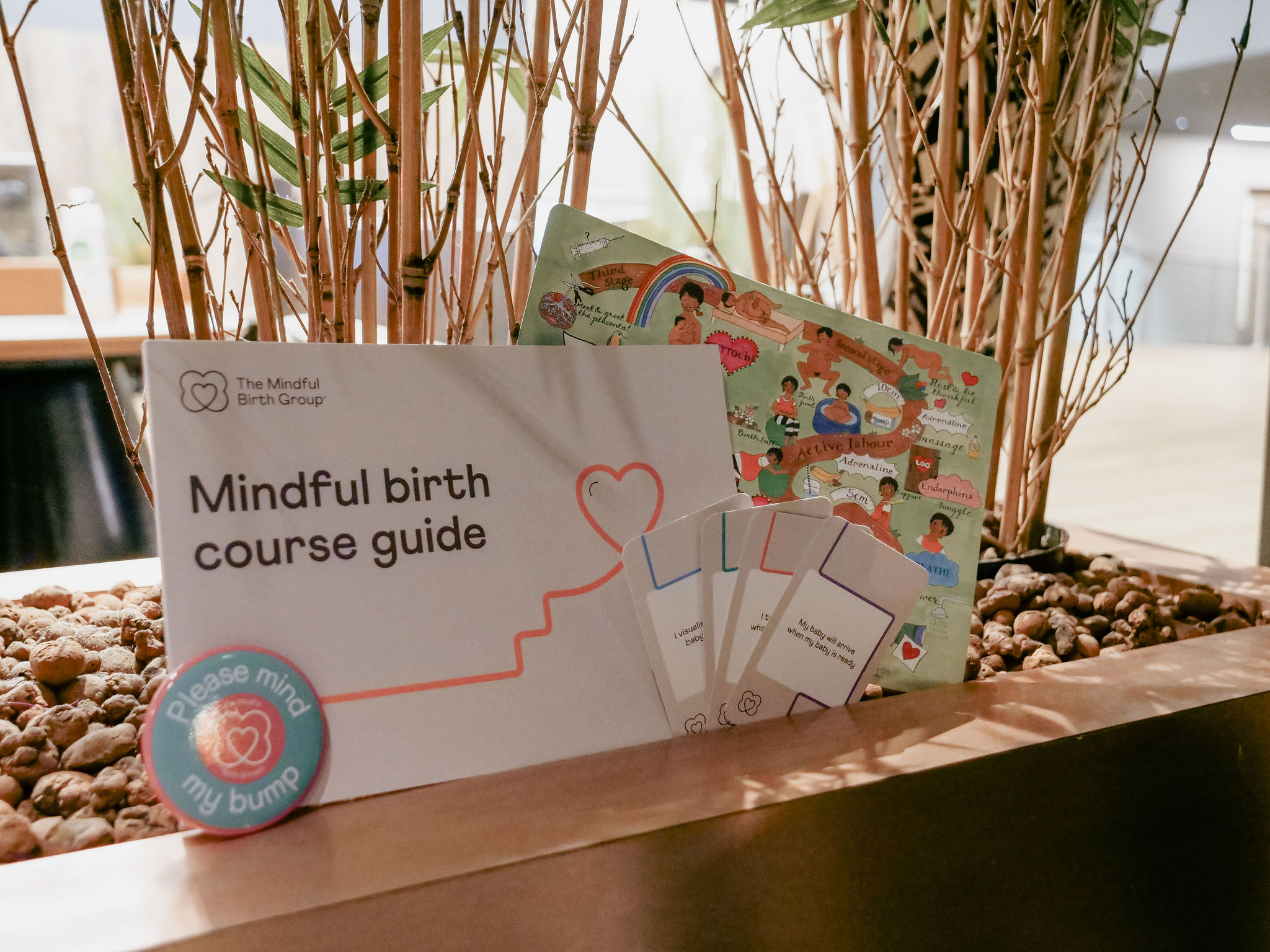 Bishops Stortford 10/04/2026 | The Mindful Birth Group